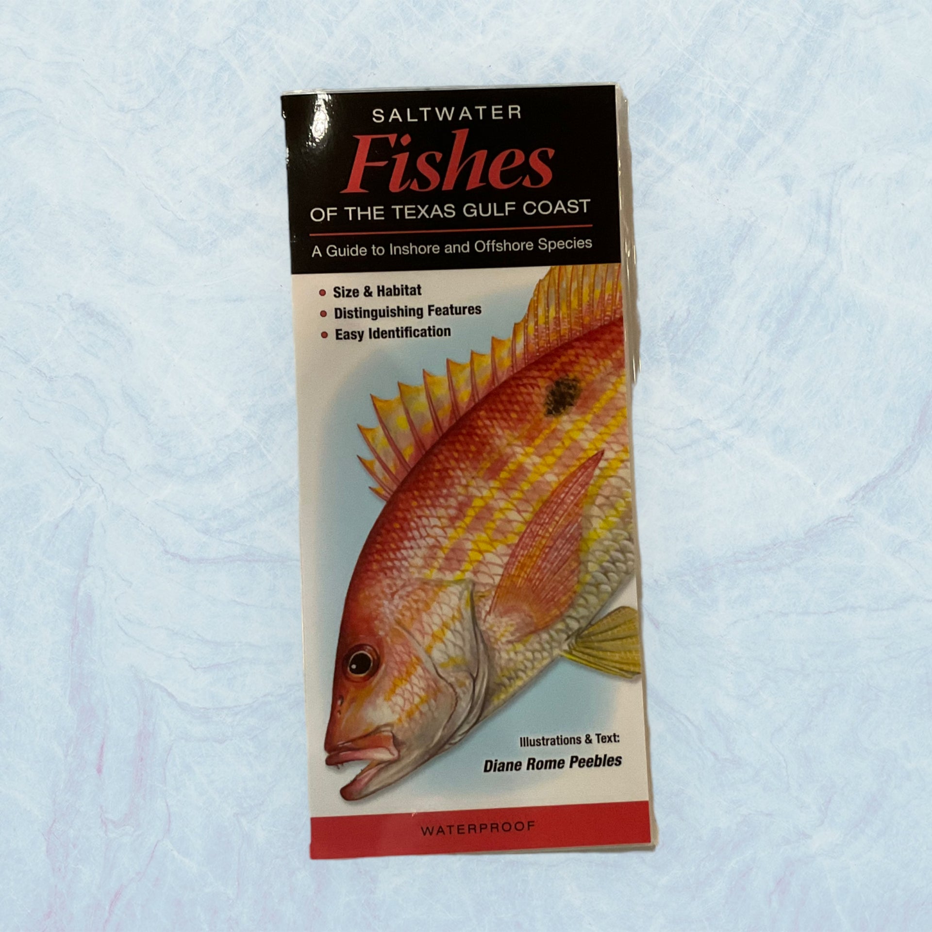 Texas Saltwater Fish Species Chart Passport To Texas » Saltwater